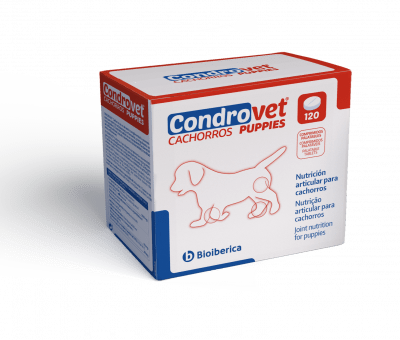 CONDROVET for Puppies JOINT NUTRITION FOR PUPPIES – PetHome.in